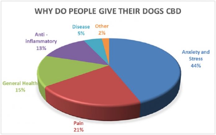 What is CBD and how does it work in dogs?
